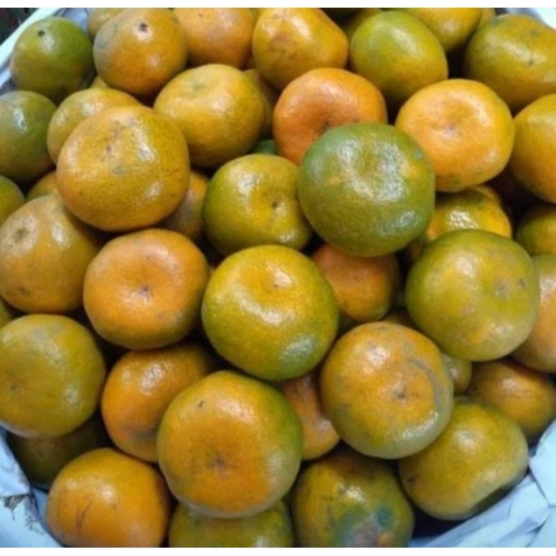 Jual Jeruk Medan Beras Tagi""Gred A""SUPER 1kg | Shopee Indonesia