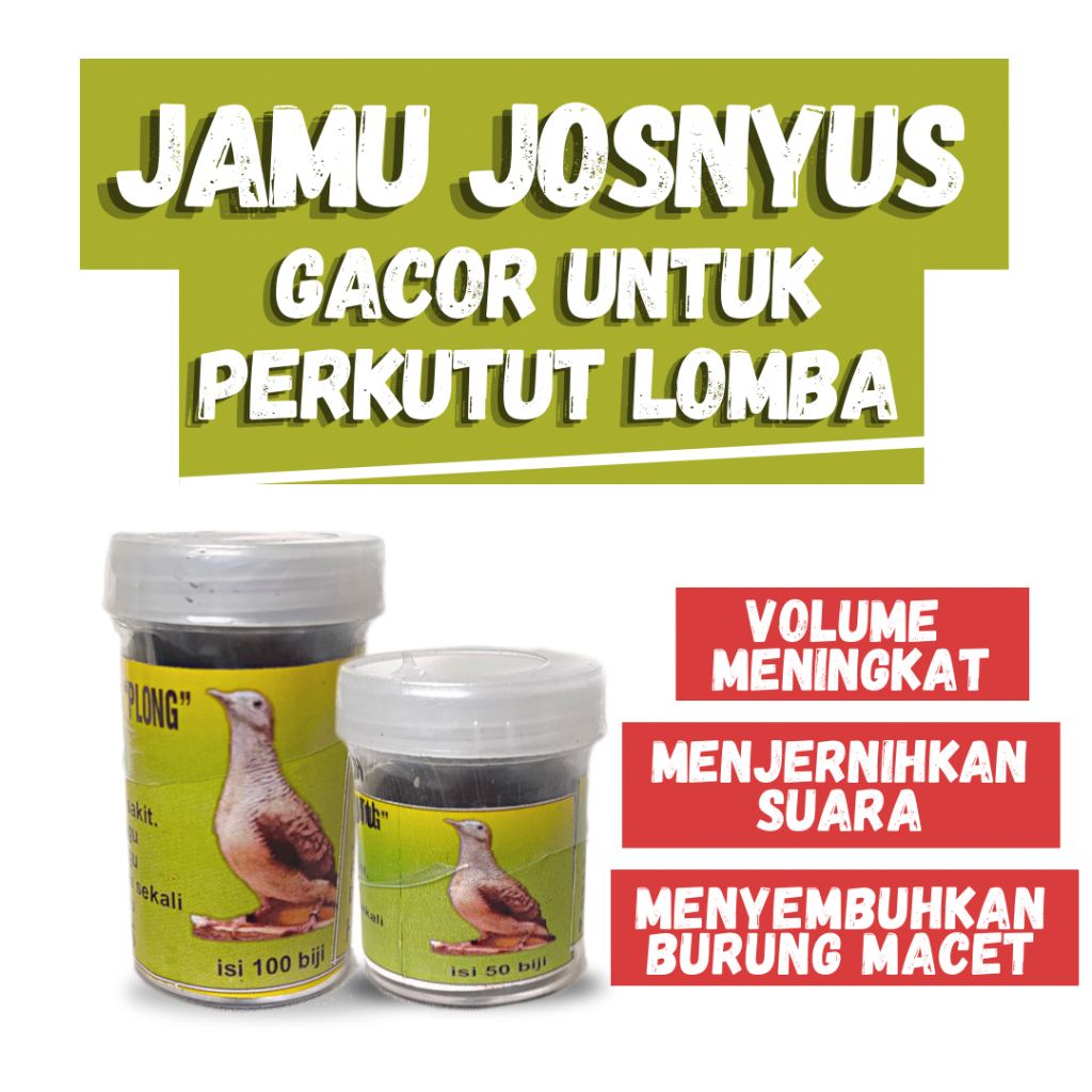 Jual VITAMIN BURUNG PERKUTUT JAMU PERKUTUT PIL PERKUTUT GACOR OBAT ...