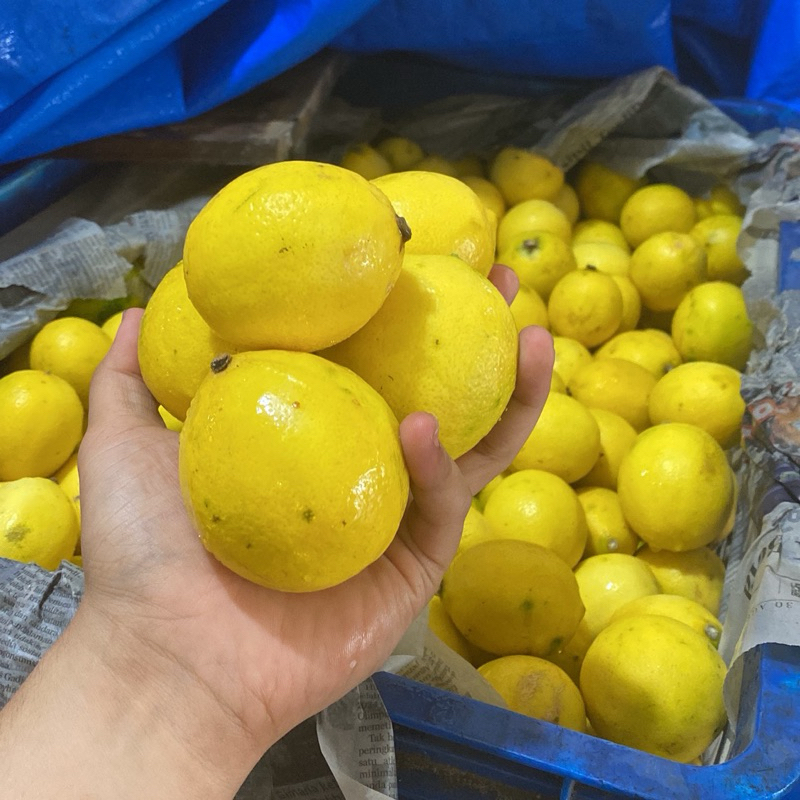 Jual Lemon California 1 kg Kualitas Super BERGARANSI! | Shopee Indonesia