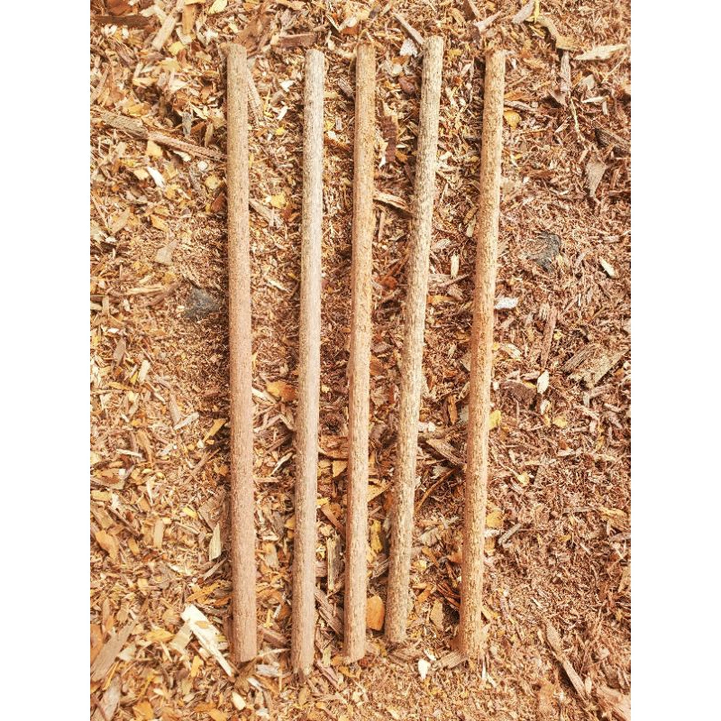 Jual Stik kayu dowel bulat | Shopee Indonesia