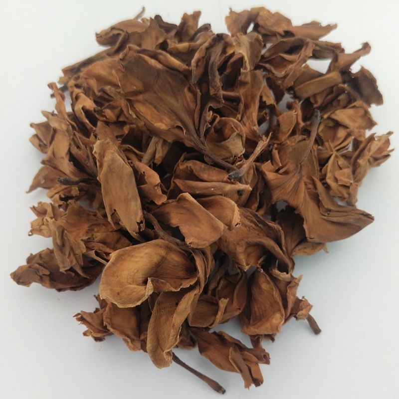 Jual BUNGA KAMBOJA KERING ORIGINAL 1000gr | Shopee Indonesia