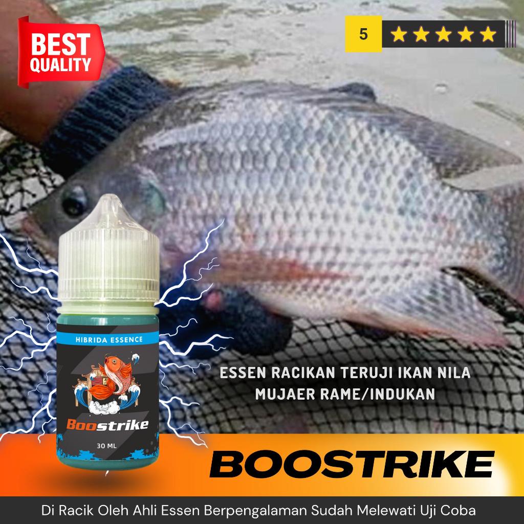 Jual Essen Nila Babon/Induk | Essen Khusus Ikan Nila Liar | Umpan Ikan ... Jual Essen Nila Babon/Induk | Essen Khusus Ikan Nila Liar | Umpan Ikan ...
