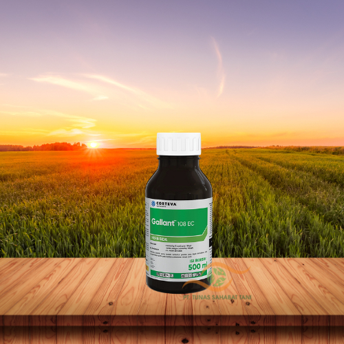 Jual HERBISIDA SISTEMIK GALLANT / GALANT / GALAN / GALLAN 108 EC ...