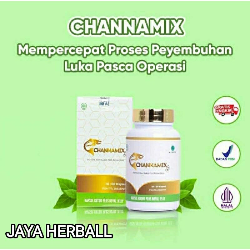 Jual CHANNAMIX Kapsul Ekstrak Ikan Gabus - Luka Pasca Operasi Cepat ...