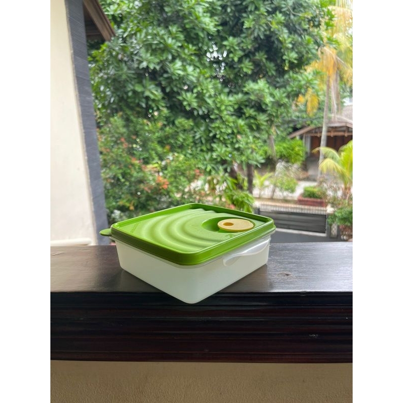 Jual Tupperware Lunch Box Hijau | Shopee Indonesia