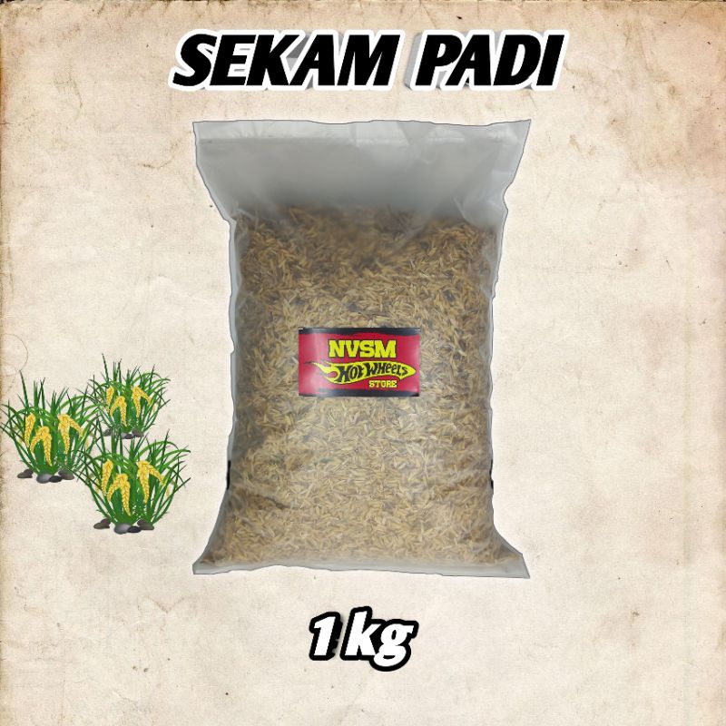 Jual SEKAM PADI 1kg Media Tanam Menyuburkan Tanah | Shopee Indonesia