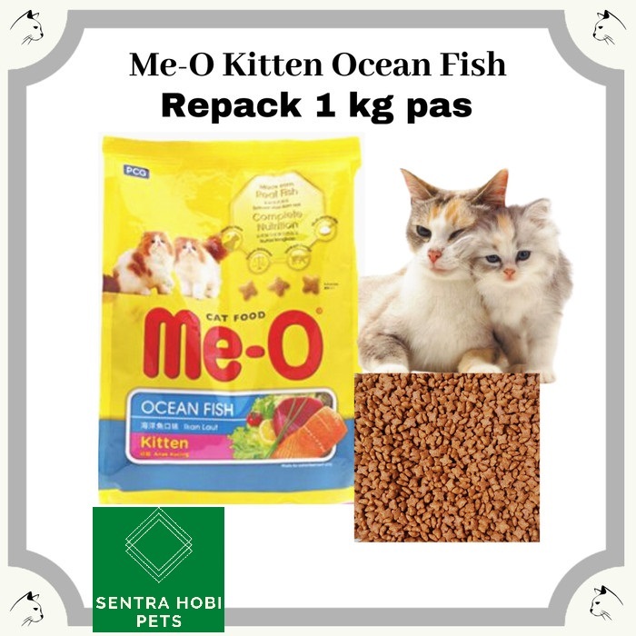 Jual Makanan Anak Kucing Meo Rasa Ocean Fish Repack 1 Kg | Shopee Indonesia