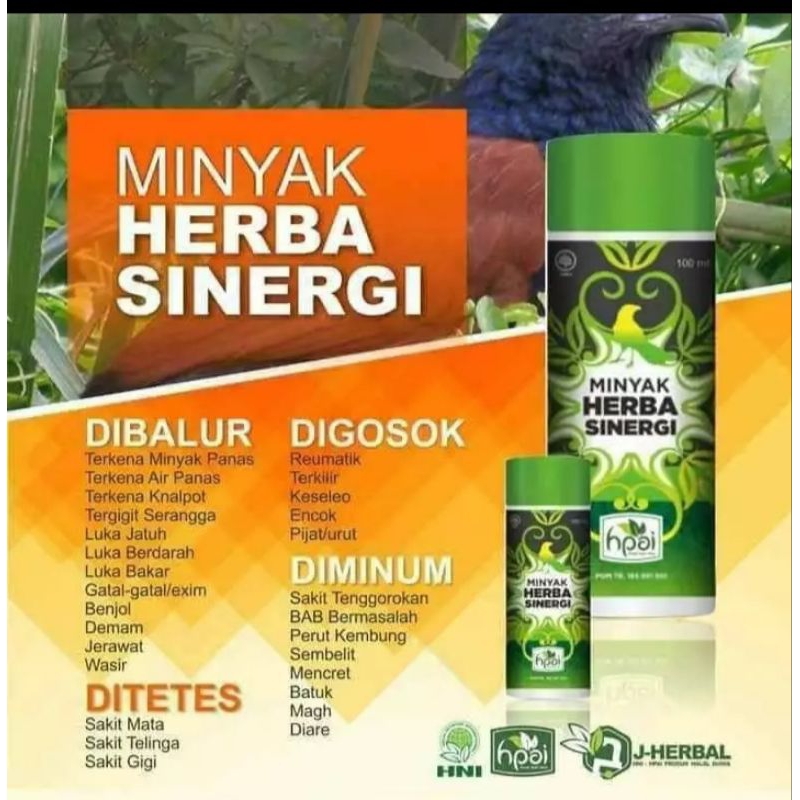 Jual MINYAK HERBA SINERGI MHS BUTBUT HNI HPAI MINYAK AJAIB NYERI SENDI ...
