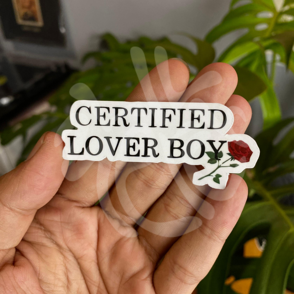 Jual sticker certified lover boy / sticker / aesthetic sticker ...