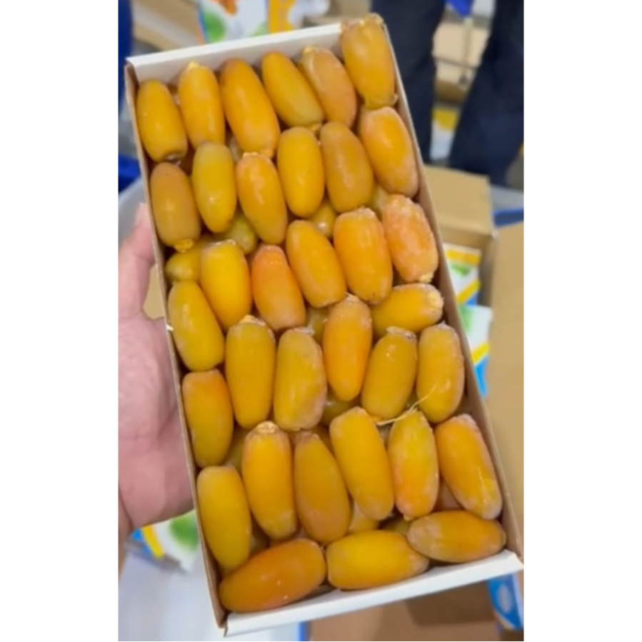 Jual Kurma Ruthob Libya 1kg Fresh Kurma Muda Ruthab Libya Segar Bisa ...