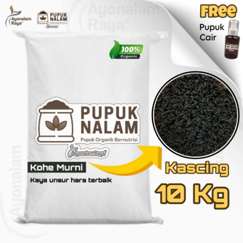 Jual Pupuk Kascing Organik Vermicompost Kompos Cacing Murni Karungan ...