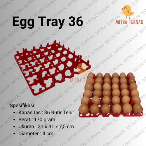 Jual Egg Tray 36 / Tempat Telur Plastik / Tempat Telur Ayam Layer ...