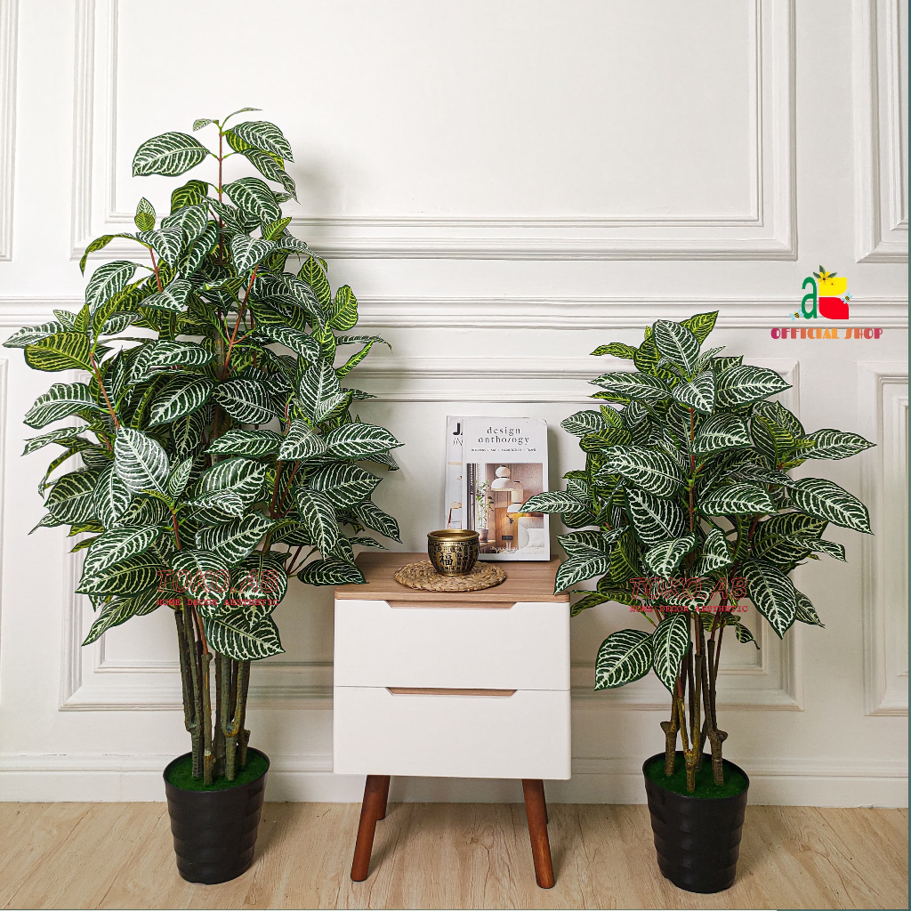 Jual 1 SET TANAMAN ARTIFICIAL DAUN PLASTIK ALPHELANDRA ZEBRA RB6114 ...