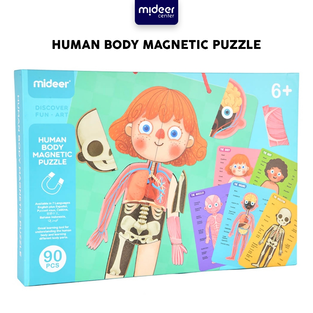 Jual Mideer Human Body Magnetic Puzzle Mideer Body Magnet | Shopee ...