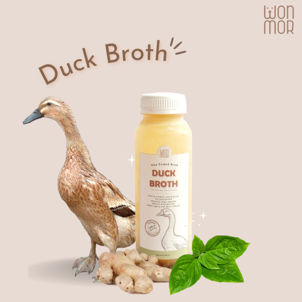 Jual WONMOR Duck Broth 250ml | Shopee Indonesia