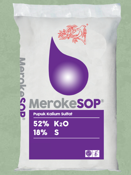 Jual PUPUK MAKRO MEROKE SOP KALIUM SULFAT 1 KG | Shopee Indonesia