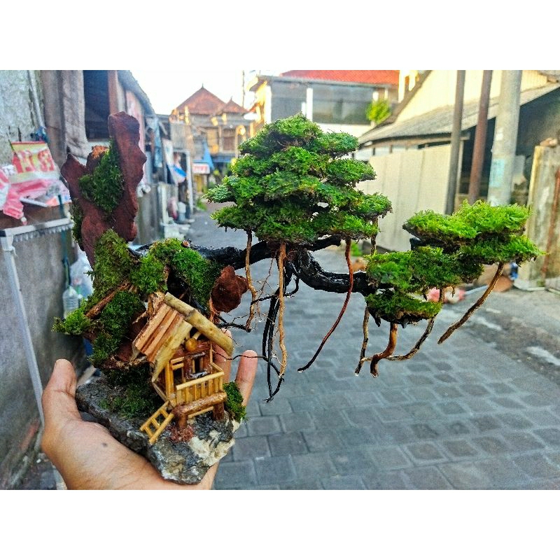 Jual KONSEP POHON BONSAI AQUASCAPE + MINIATUR RUMAH SUPER MINI | Shopee ...