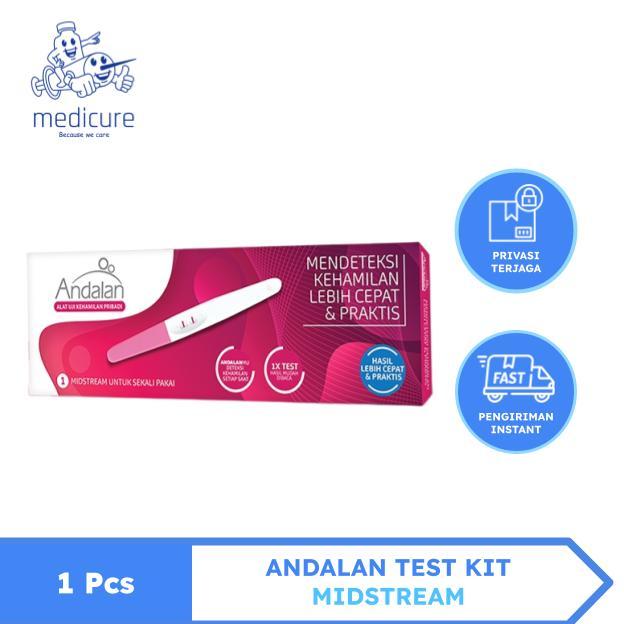 Jual Andalan Pregnancy Test Alat Tes Hamil Kehamilan Kesuburan | Shopee ...