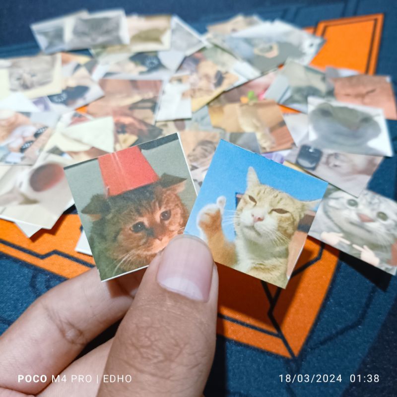 Jual stiker kucing lucu / sticker kucing / stiker meme / stiker hewan ... Jual stiker kucing lucu / sticker kucing / stiker meme / stiker hewan ...