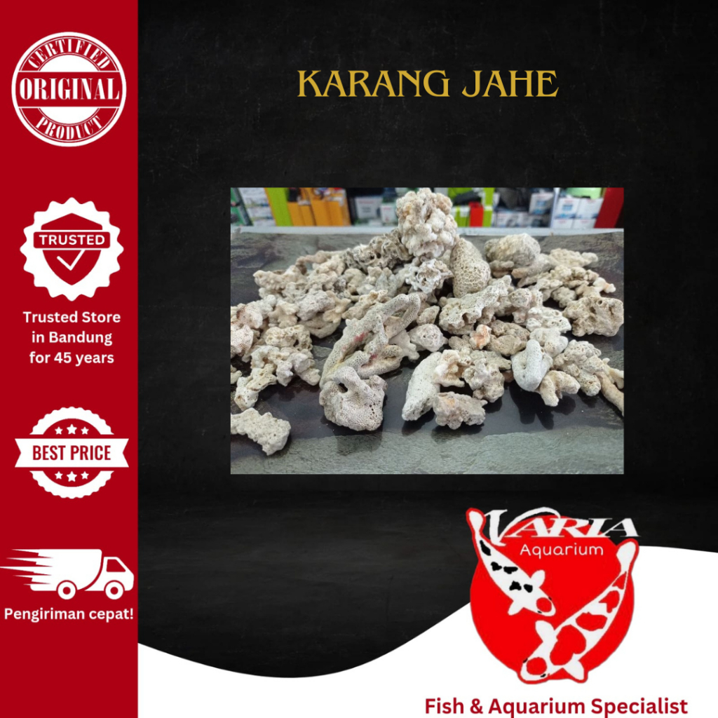 Jual Karang Jahe 1Kg /Batu Karang Jahe Media Filter Aquarium Kolam ...