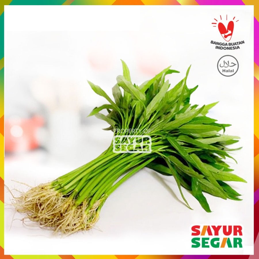 Jual KANGKUNG SAYUR [1 Ikat] FRESH | Shopee Indonesia