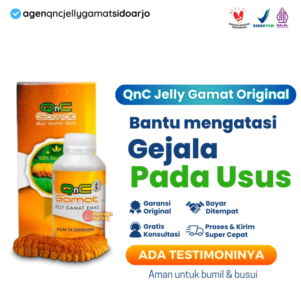 Jual Obat Gejala Usus Buntu Pengobatan Usus Buntuk Kronis Pecah ...