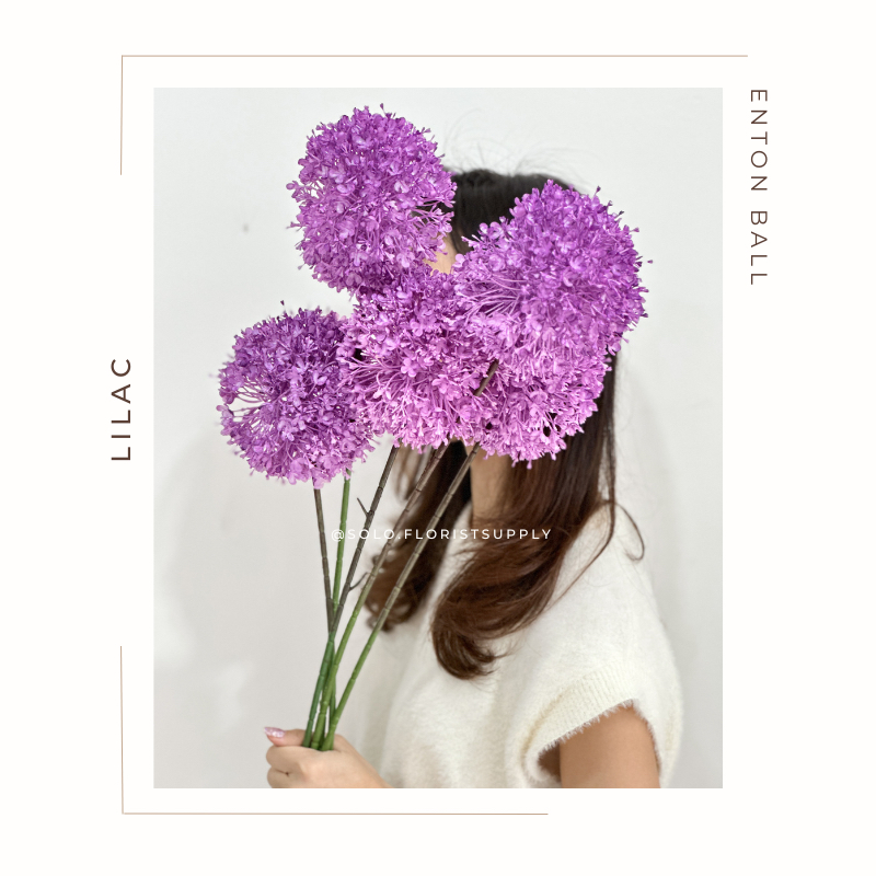 Jual BIG ENTON BALLS artificial hydrangea bunga hidrangea Hortensia ...