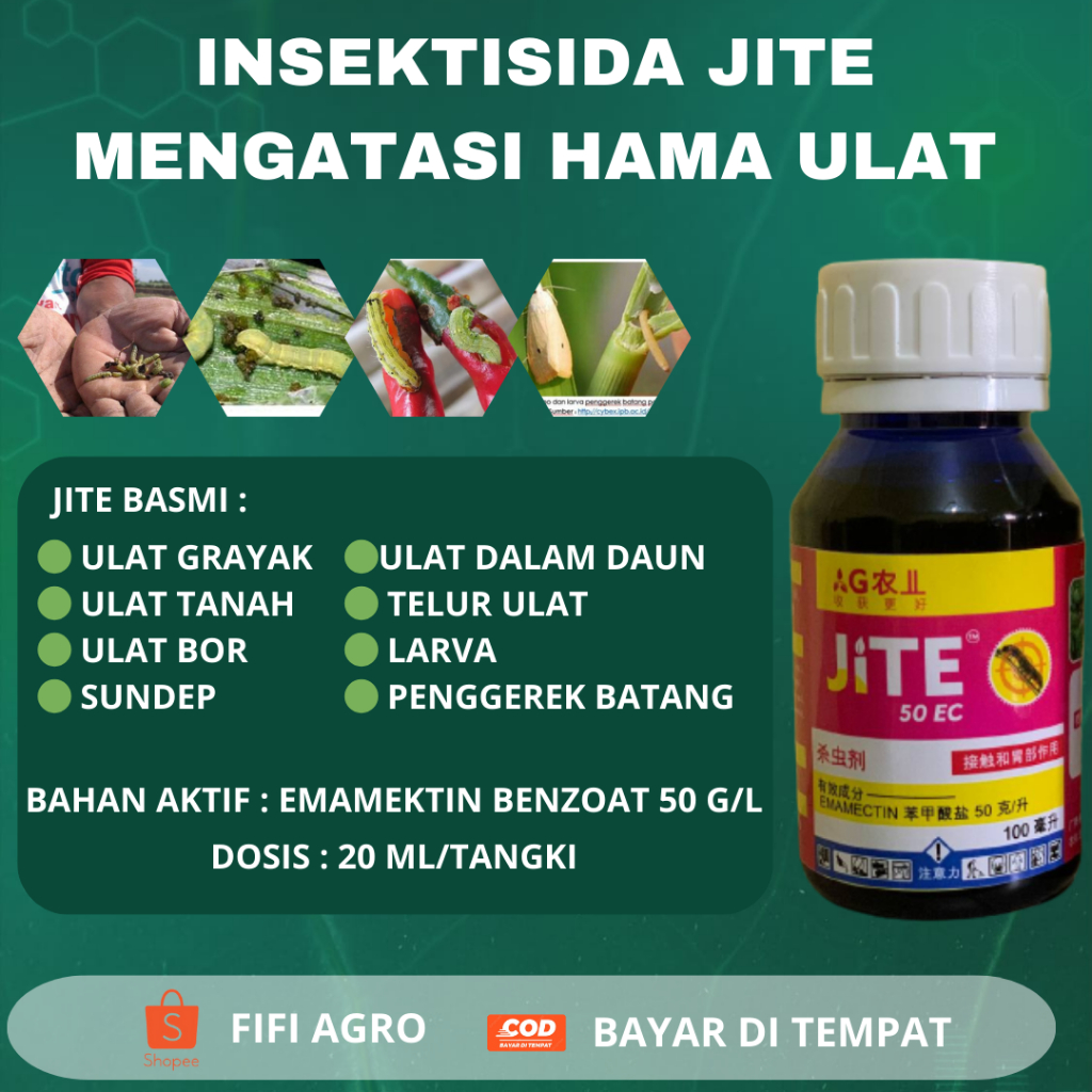Jual Insektisida Jite Pembasmi Ulat Grayak, Ulat Dalam Batang/Daun ...