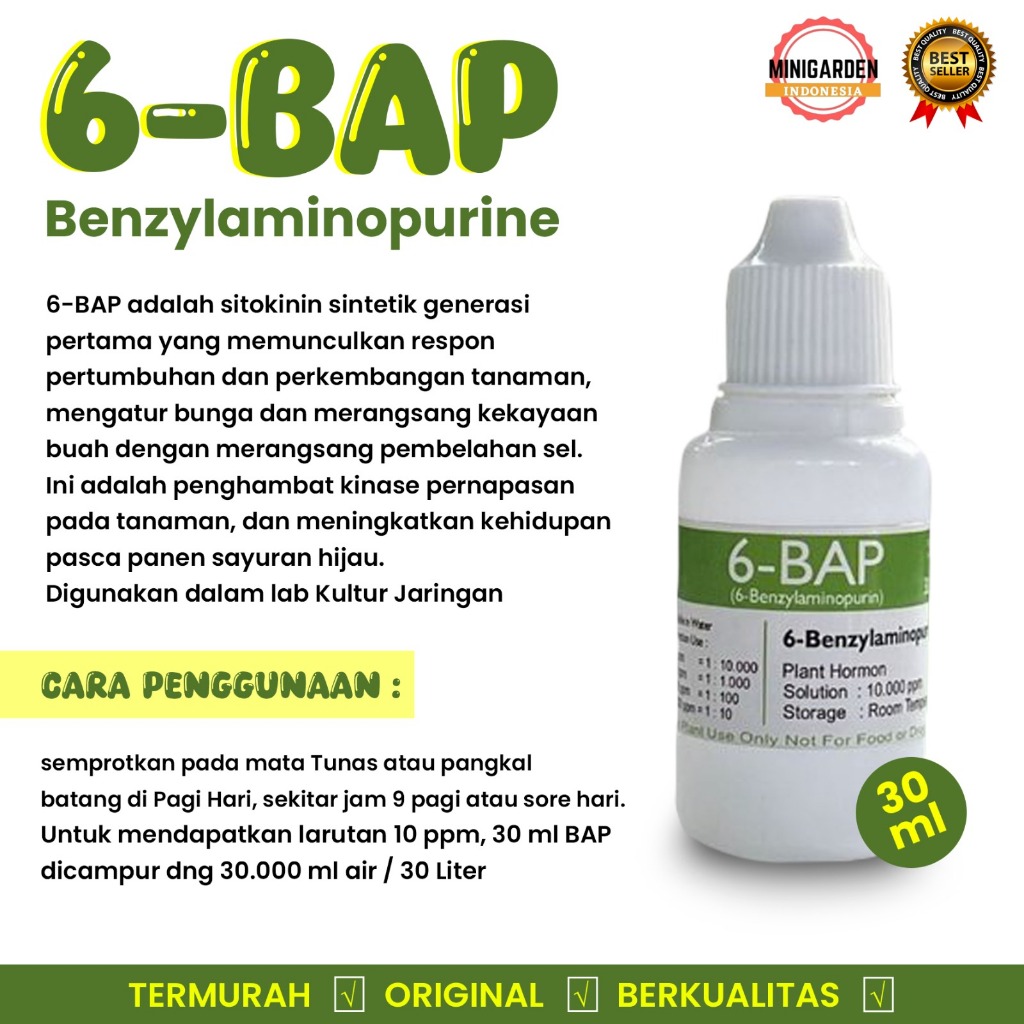 Jual HORMON 6 BAP HIJAU 30ML Benzylaminopurine penumbuh tunas keiki ...