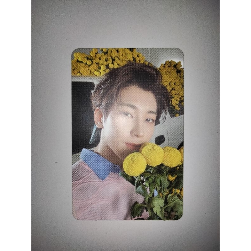 Jual PC Wonwoo your choice SVT One side ver Photocard Official Seventeen Wonu | Shopee Indonesia