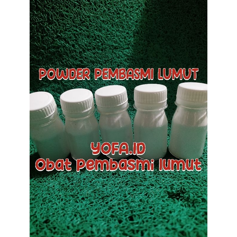 Jual obat anti lumut / penghilang lumut simpel | Shopee Indonesia