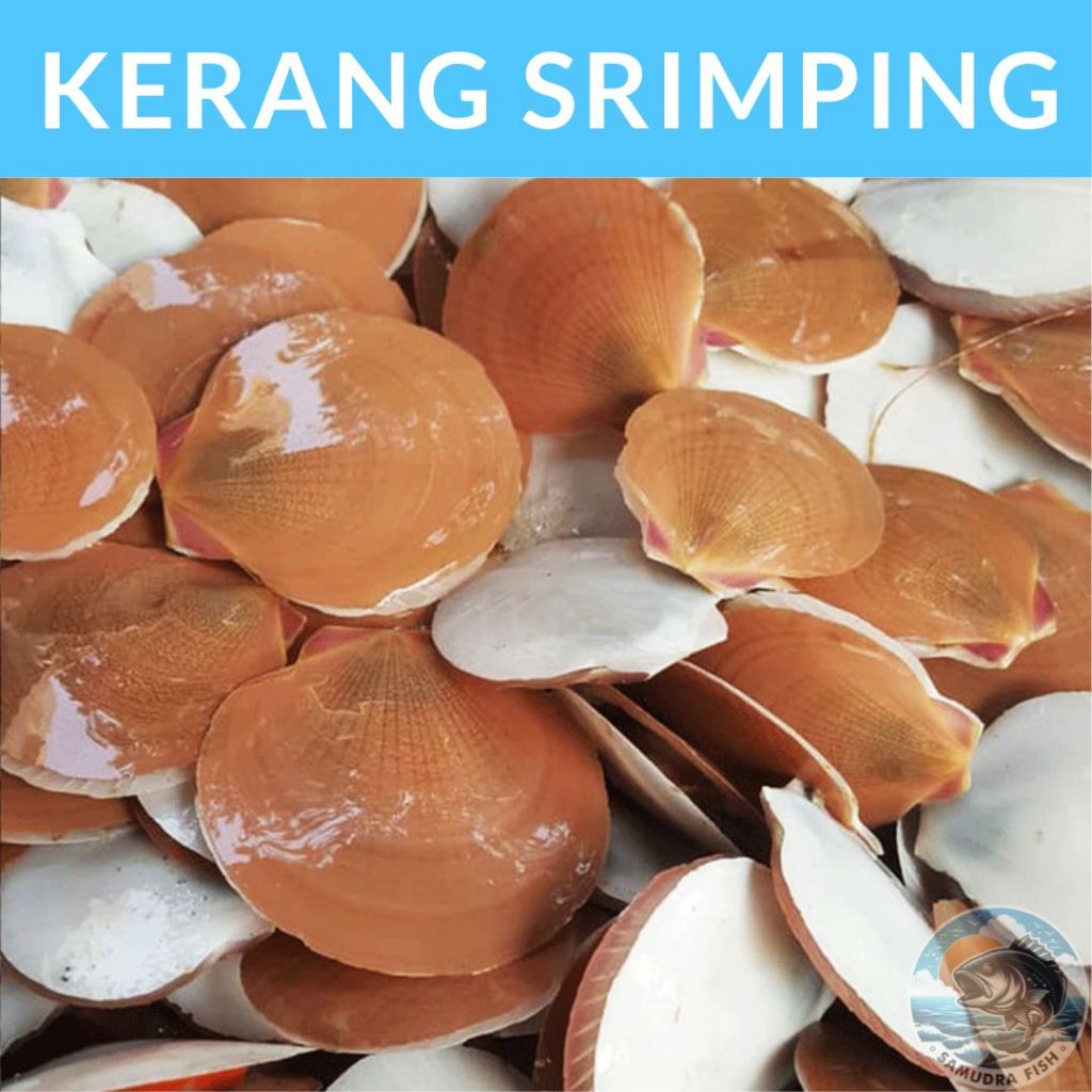Jual Kerang Srimping 500gram | Ikan Semarang | Beli Ikan Segar Semarang ...