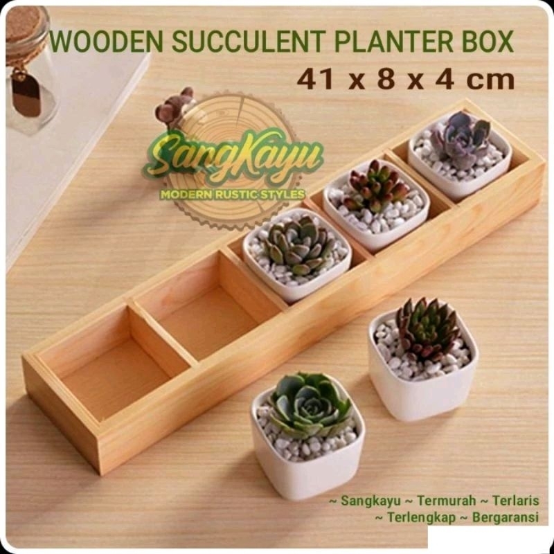 Jual Wood succulent planter box kotak tanaman kaktus pot sukulen kayu ...