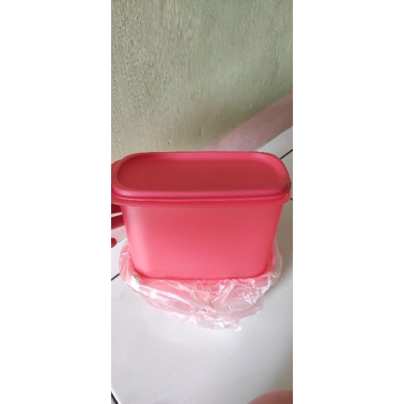 Jual Tupperware Smart Saver Oval 1.1L | Shopee Indonesia