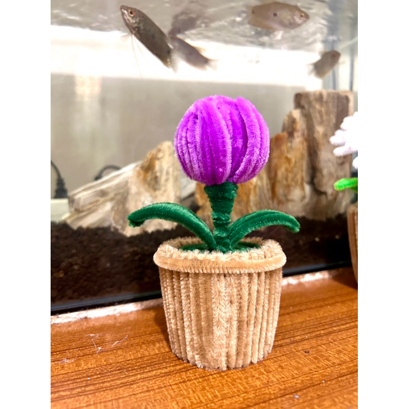 Jual Bunga Tulip Ungu Pot ( Pipe Cleaner ) | Shopee Indonesia