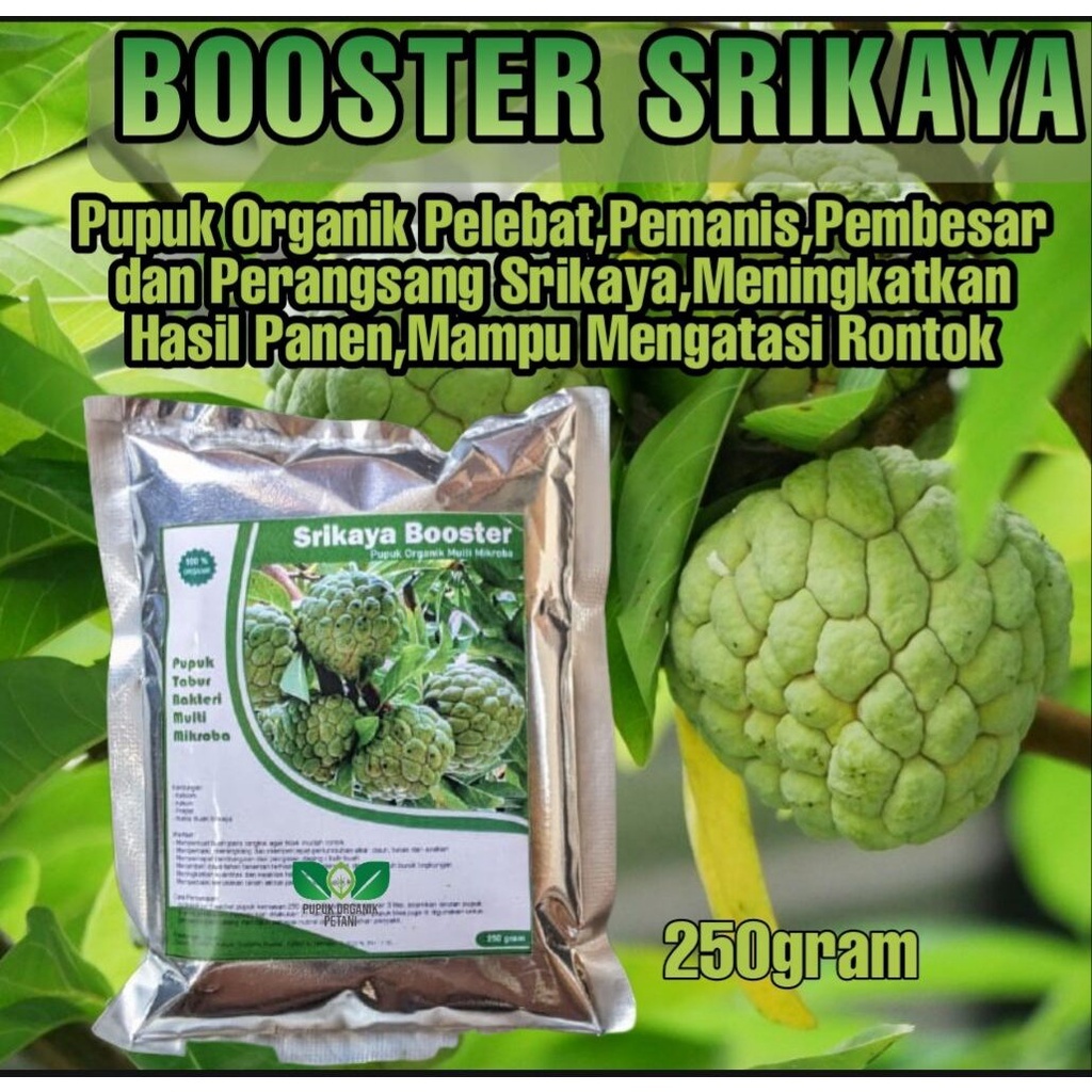 Jual Pupuk Srikaya Organik Penyubur Tanaman dan Booster Buah Srikaya agar cepat berbuah Pupuk ...