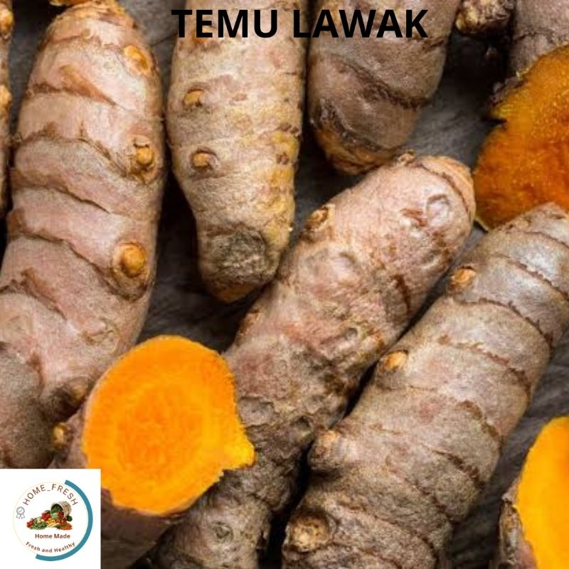 Jual TEMU LAWAK REMPAH TRADISIONAL SEGAR FRESH | Shopee Indonesia