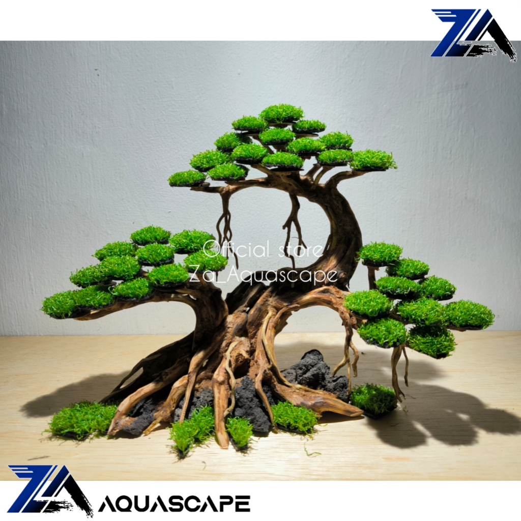 Jual pohon Bonsai Aquascape. kayu Aksesoris Aquarium bonus mos | Shopee ...