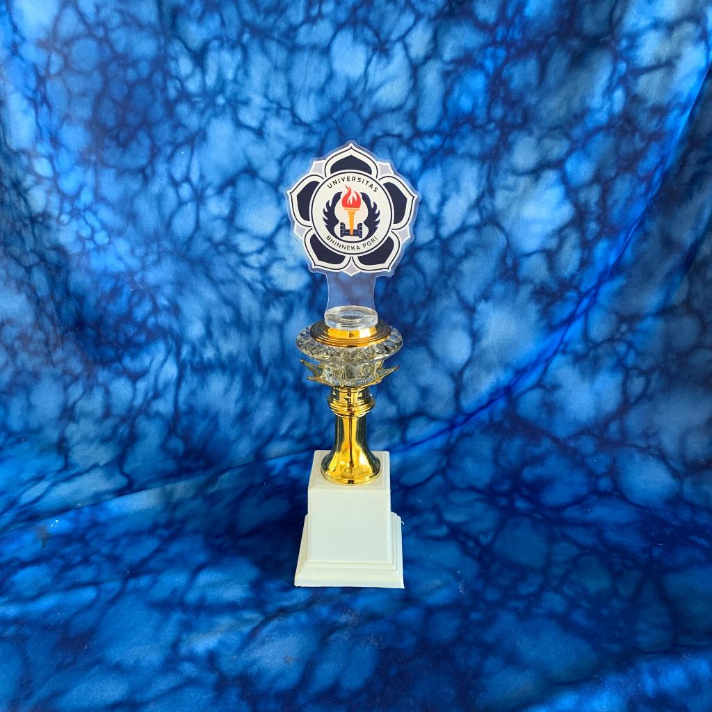 Jual PIALA SATUAN KACA ASBAK KOMBINASI FIGUR AKRILIK CUSTOM | Shopee ...
