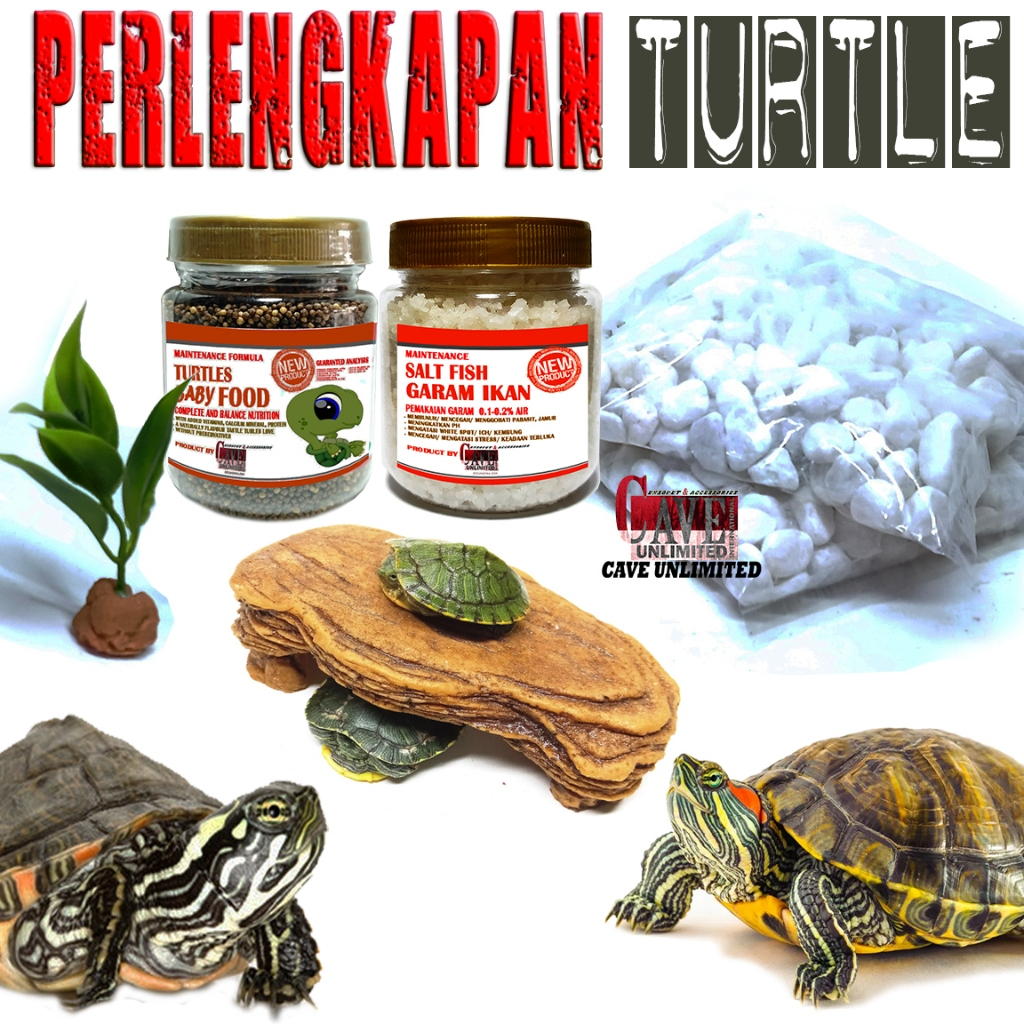 Jual PAKET PERLENGKAPAN AKSESORIS KEBUTUHAN KANDANG + MAKANAN KURA KURA ...