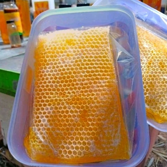 Jual PROMO.. Madu Sarang Melifera Asli 250|500 gram Madu Multiflora ...