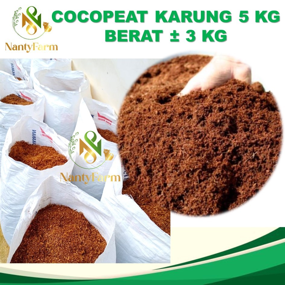 Jual Cocopit Cocopeat Kemasan Karung 5kg Media Tanam Serabut Kelapa ...