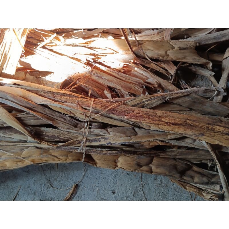 Jual pelepah pisang pjg 200cm atau 2mtr | Shopee Indonesia