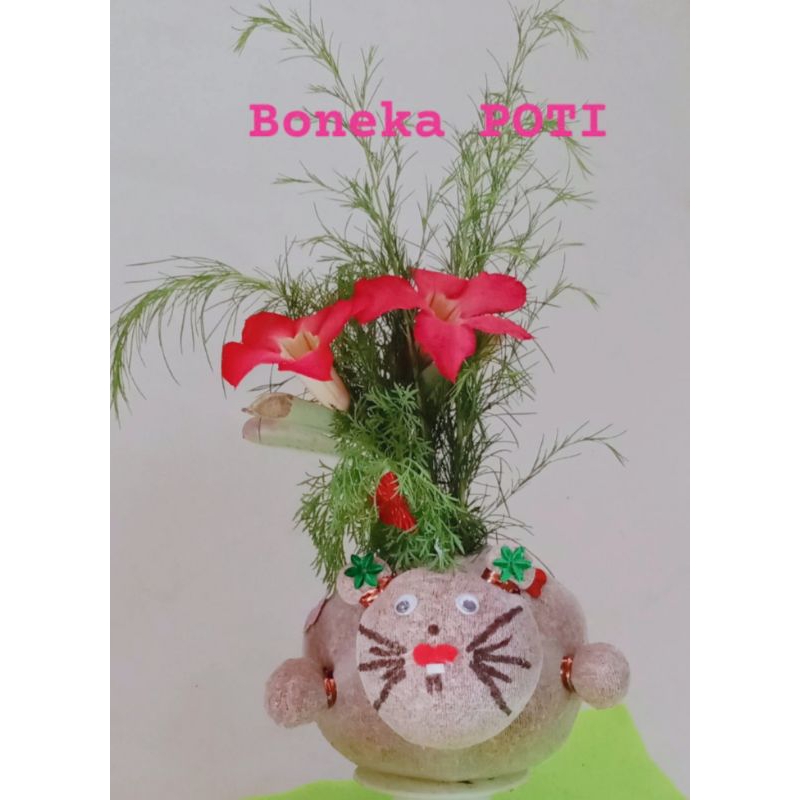Jual mainan boneka Poti bisa tumbuh tanaman lengkap dengan bibitnya dan ...