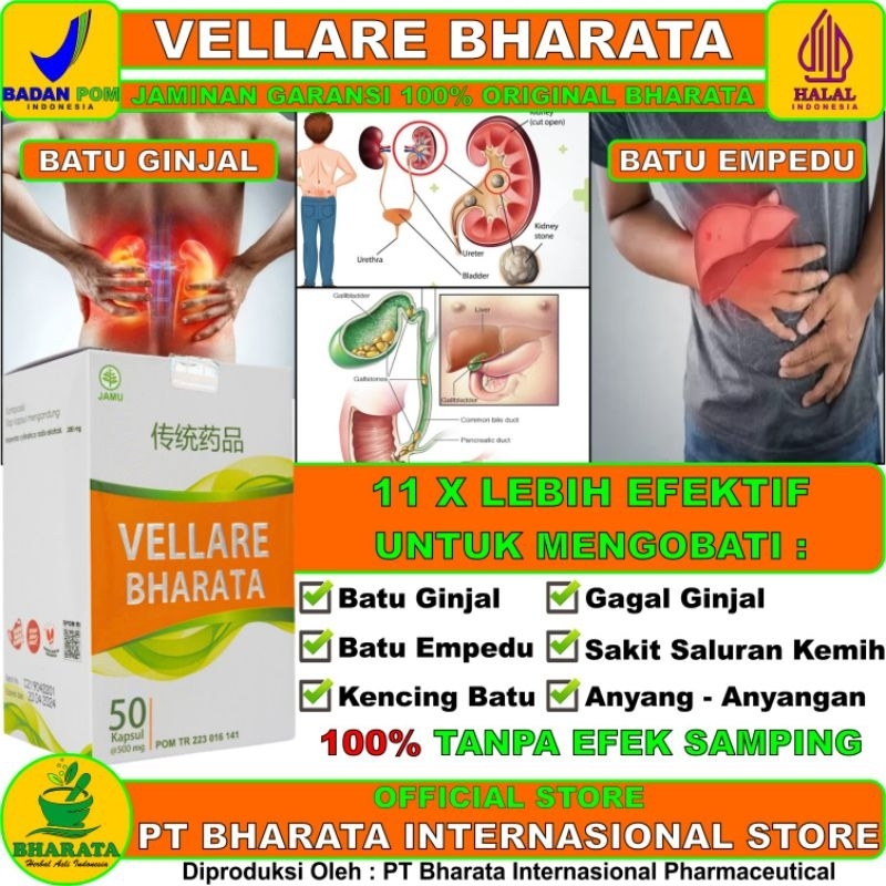 Jual Original 𝗩𝗘𝗟𝗟𝗔𝗥𝗘 𝗕𝗛𝗔𝗥𝗔𝗧𝗔 Obat Batu Ginjal Batu Empedu Kencing Batu Herbal Ampuh | PT ...