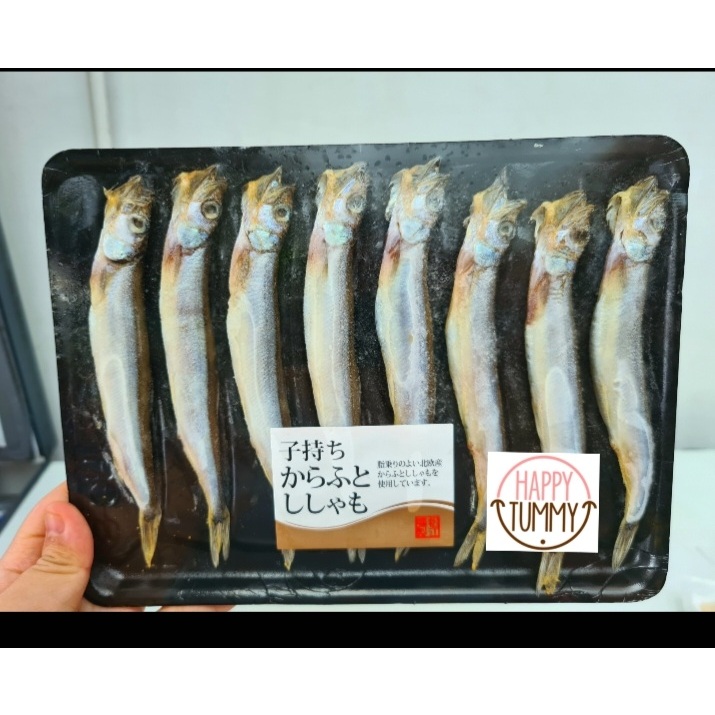 Jual Shisamo fish premium import ikan capelin telur frozen | Shopee ...
