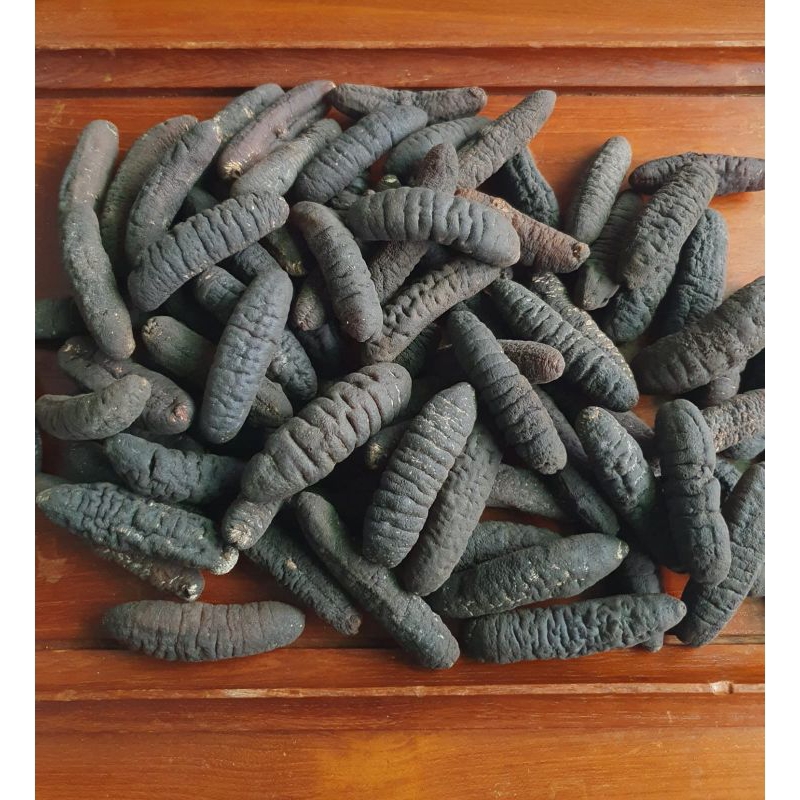 Jual Haisom ( Teripang ) Super Bangka Belitung Kering 100 gr | Shopee ...