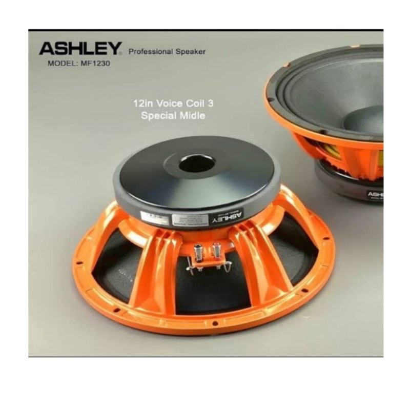 Jual SPEAKER KOMPONEN ASHLEY 12 INCH MF 1230 ORIGINAL ASHLEY | Shopee ... Jual SPEAKER KOMPONEN ASHLEY 12 INCH MF 1230 ORIGINAL ASHLEY | Shopee ...
