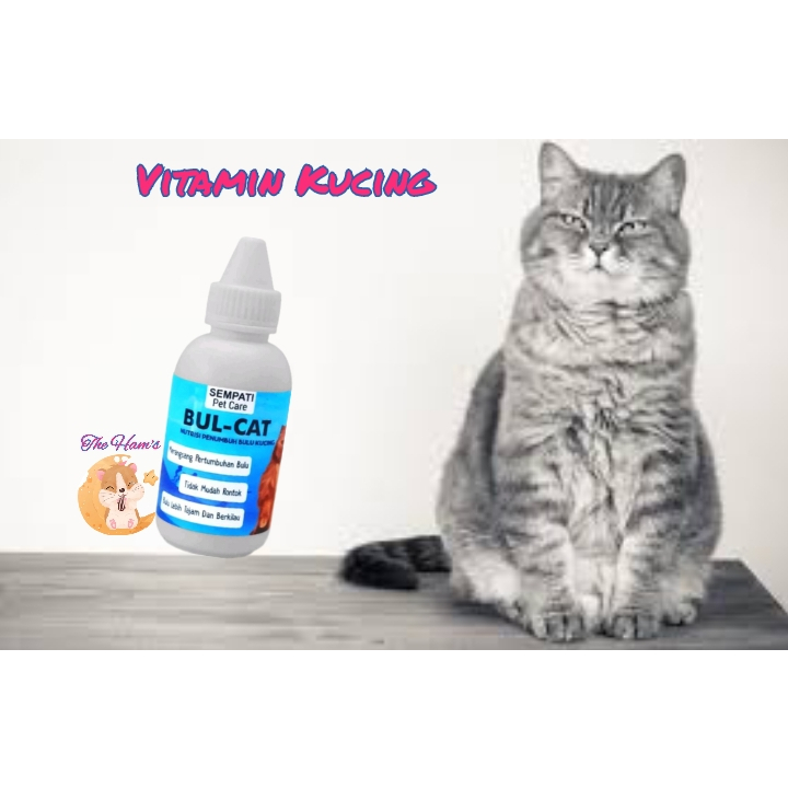 Jual (The Ham's) Bul-Cat Obat Gemuk Kucing Vitamin Pelebat Bulu Obat ...