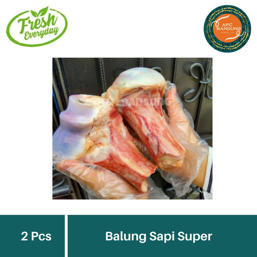 Jual Tulang Balung Sapi Super Tulang Sumsum Sapi Balungan Gajah 2 pcs ...